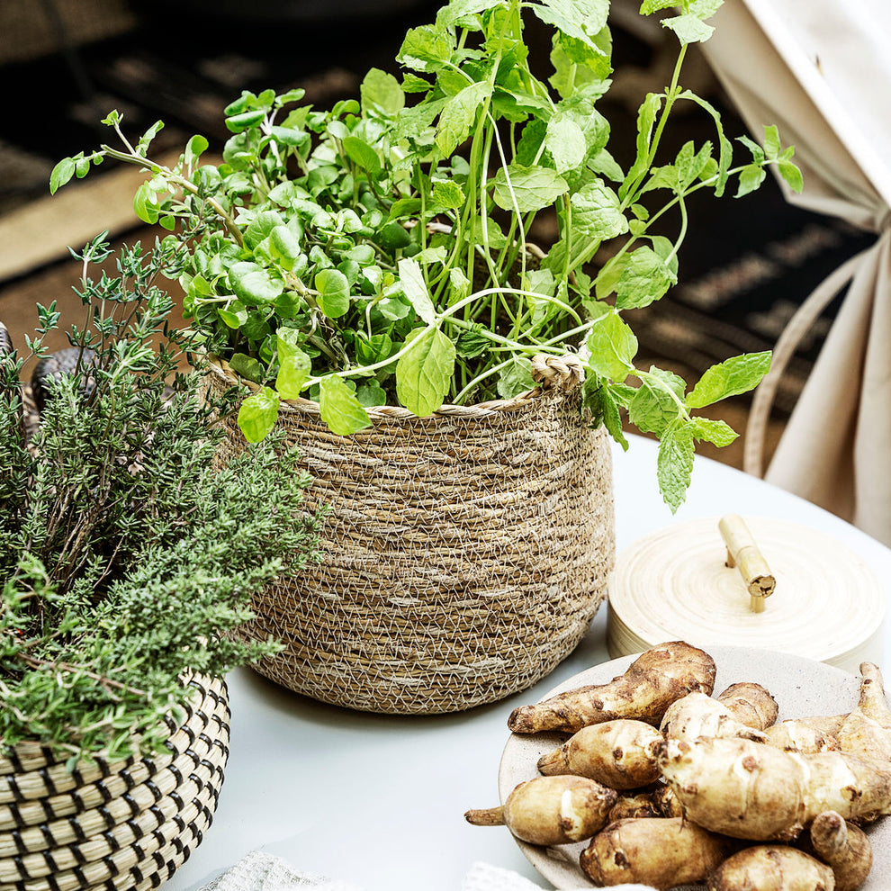 Natural Eva Basket | Design Vintage | Seagrass Hanging Basket